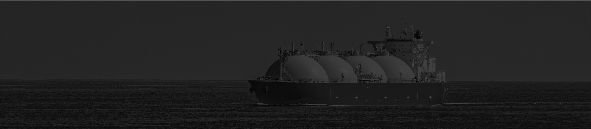 Brochure download | S&P Global Platts LNG Conference 2020